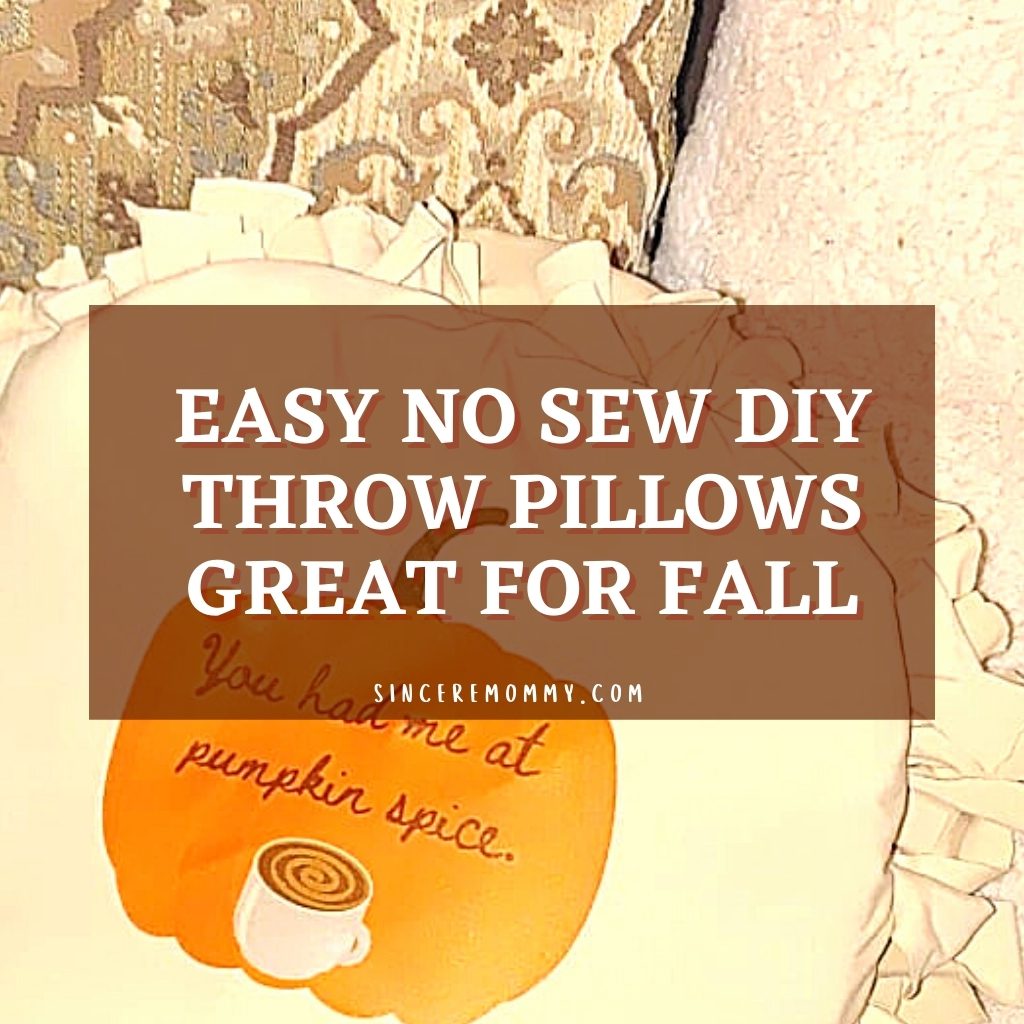 Easy No Sew DIY Throw Pillows Great For Fall – Sincere Mommy