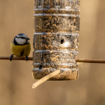 30 Crafts For Adults With Disabilities - Sincere Mommy